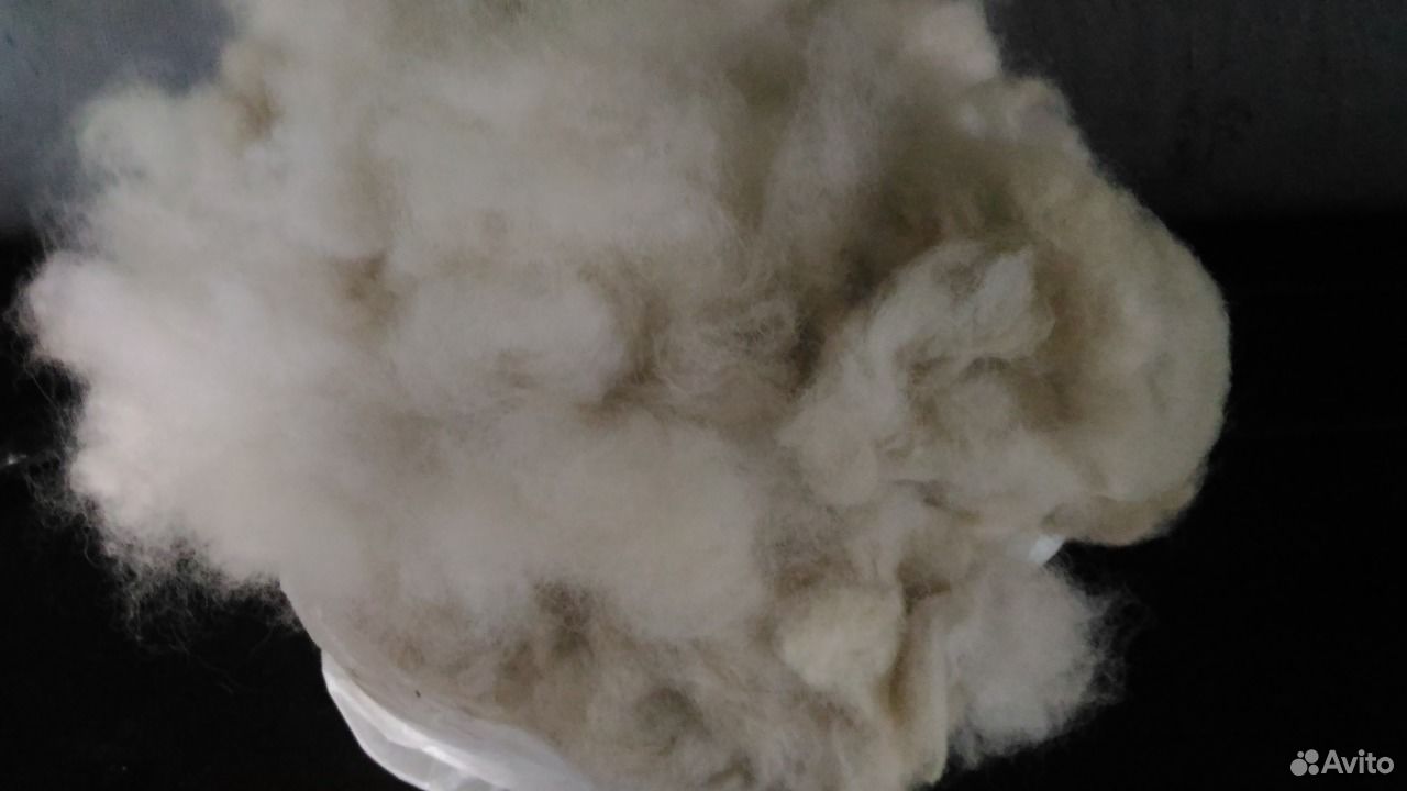 Шерсть собаки