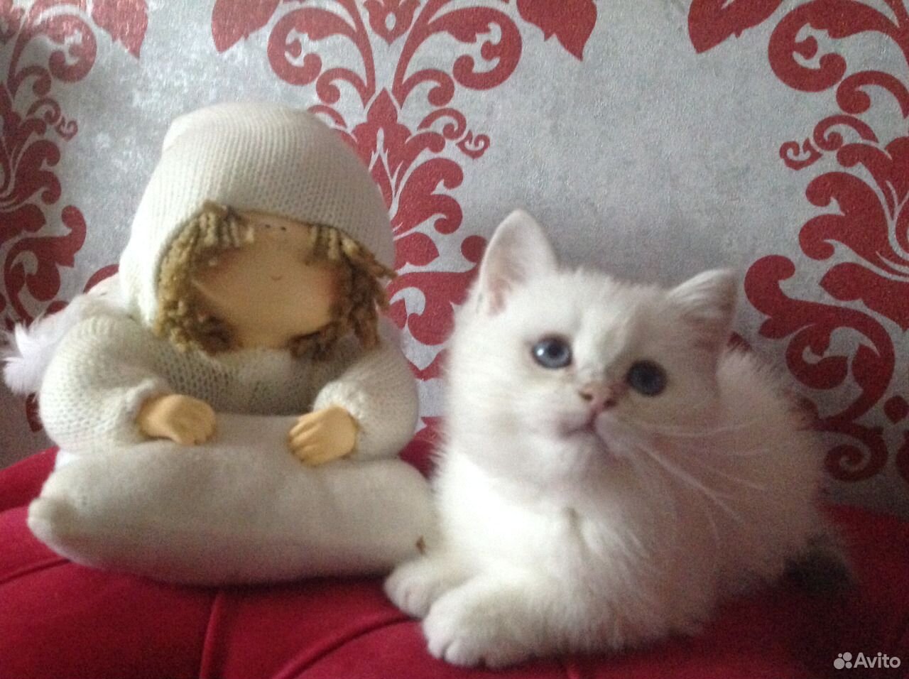 Чудо дети