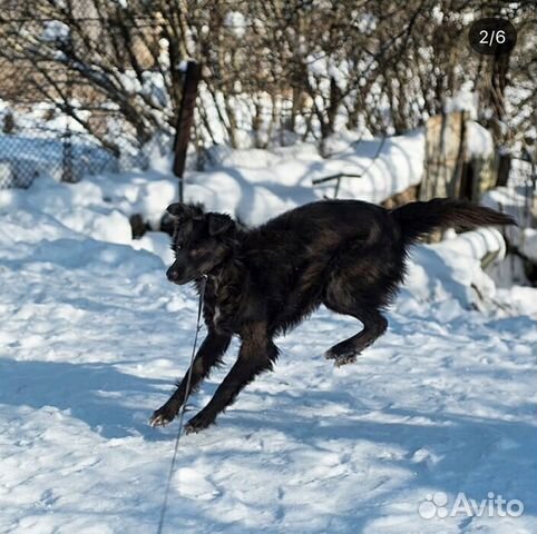 Красотка Нэти