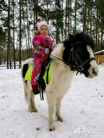 Продам пони