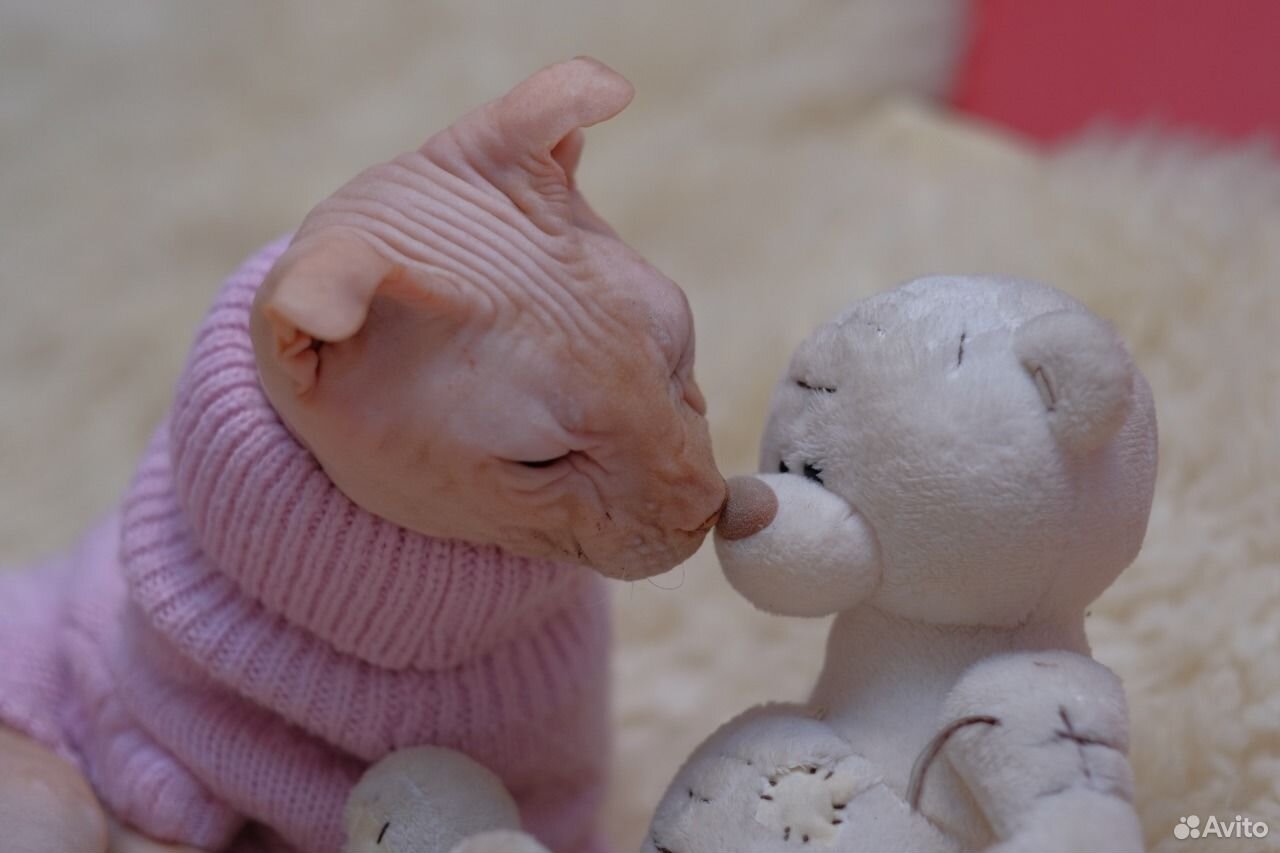 Элитный сфинкс на вязку