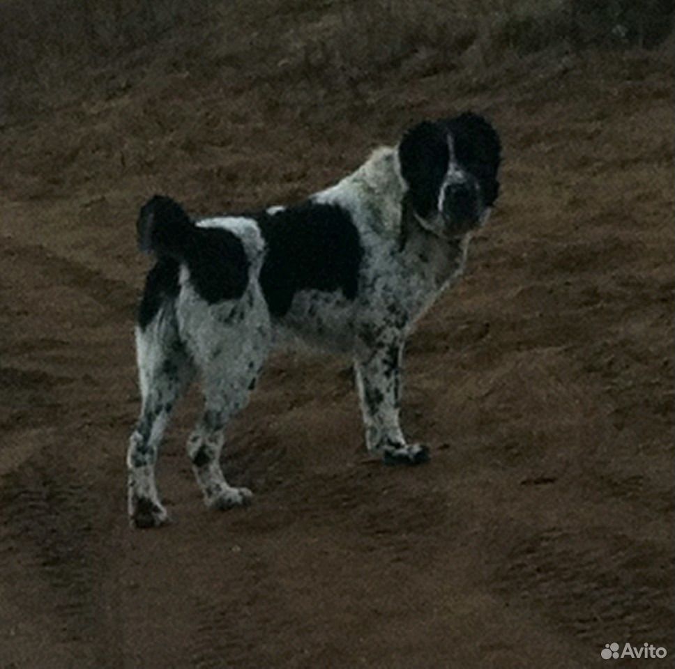 Красавец мужчина приглашает в гости