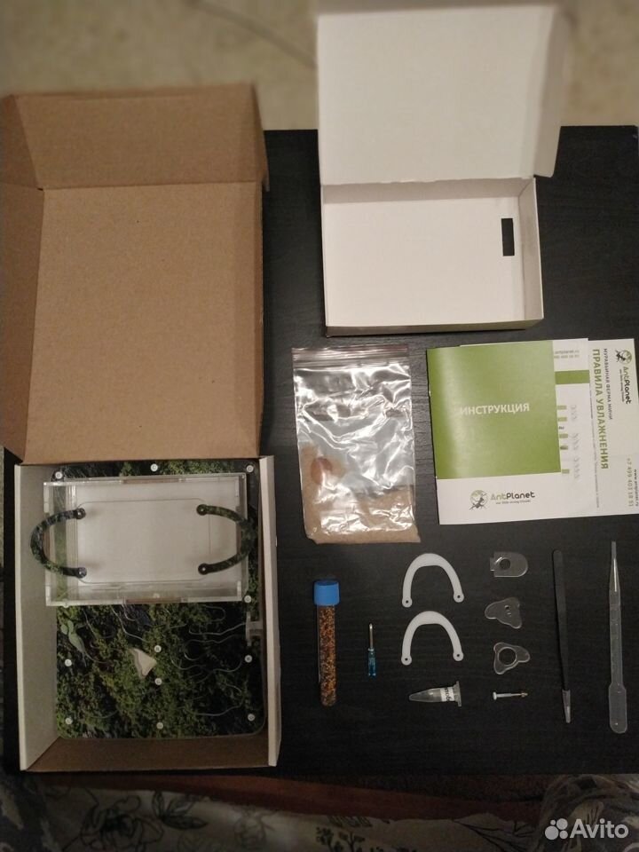 Формикарий AntPlanet Горный мох