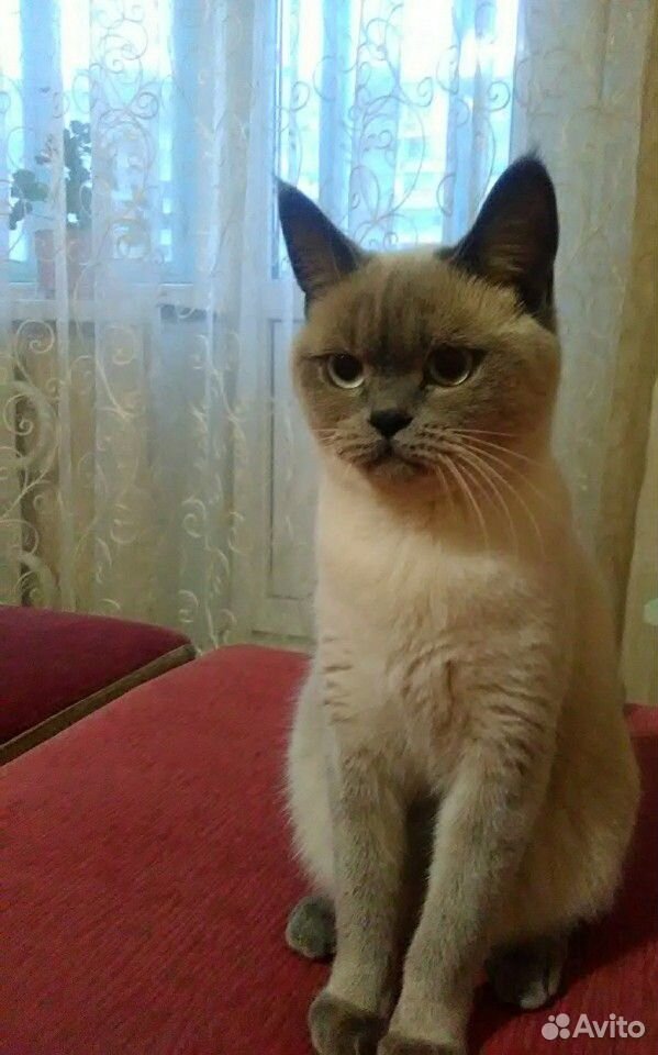 Вязка