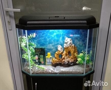 Аквариум