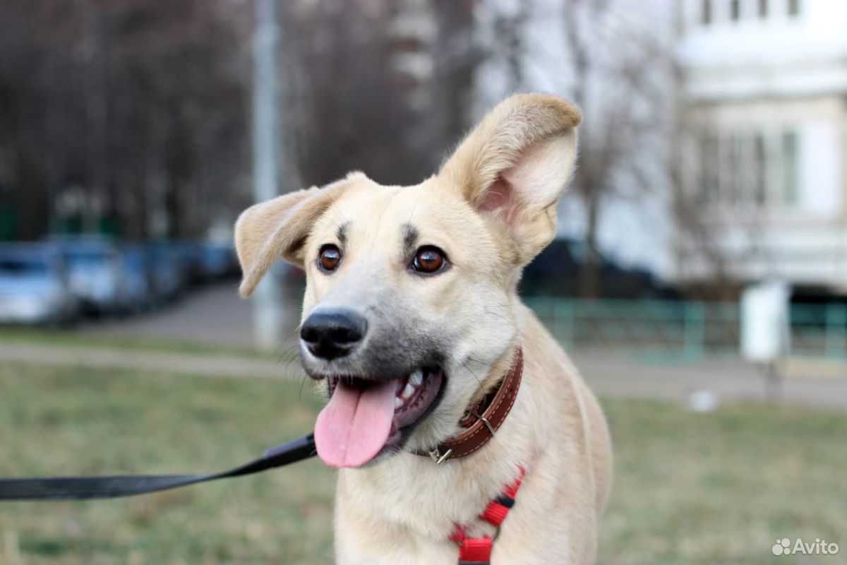 Малыш Ванечка