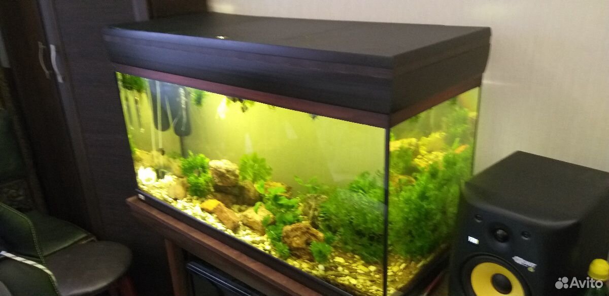 Аквариум 200л