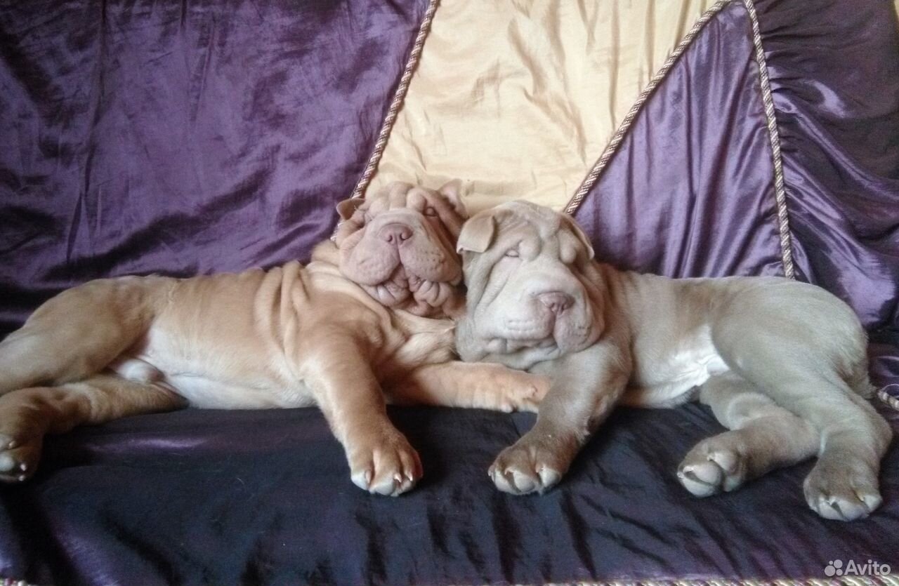 Классные парни