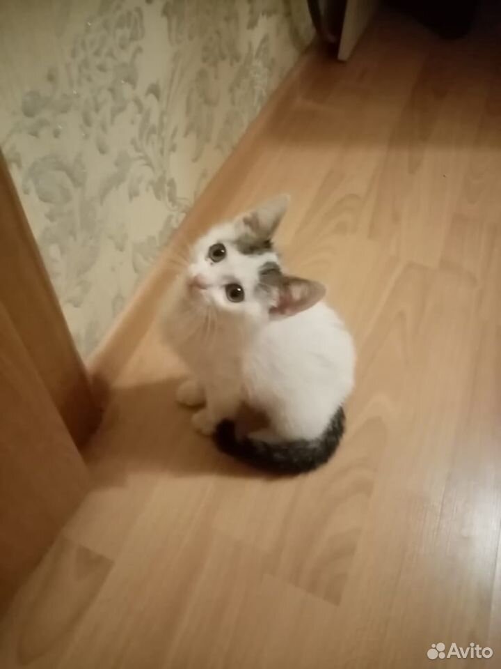 Заберите этого пирата