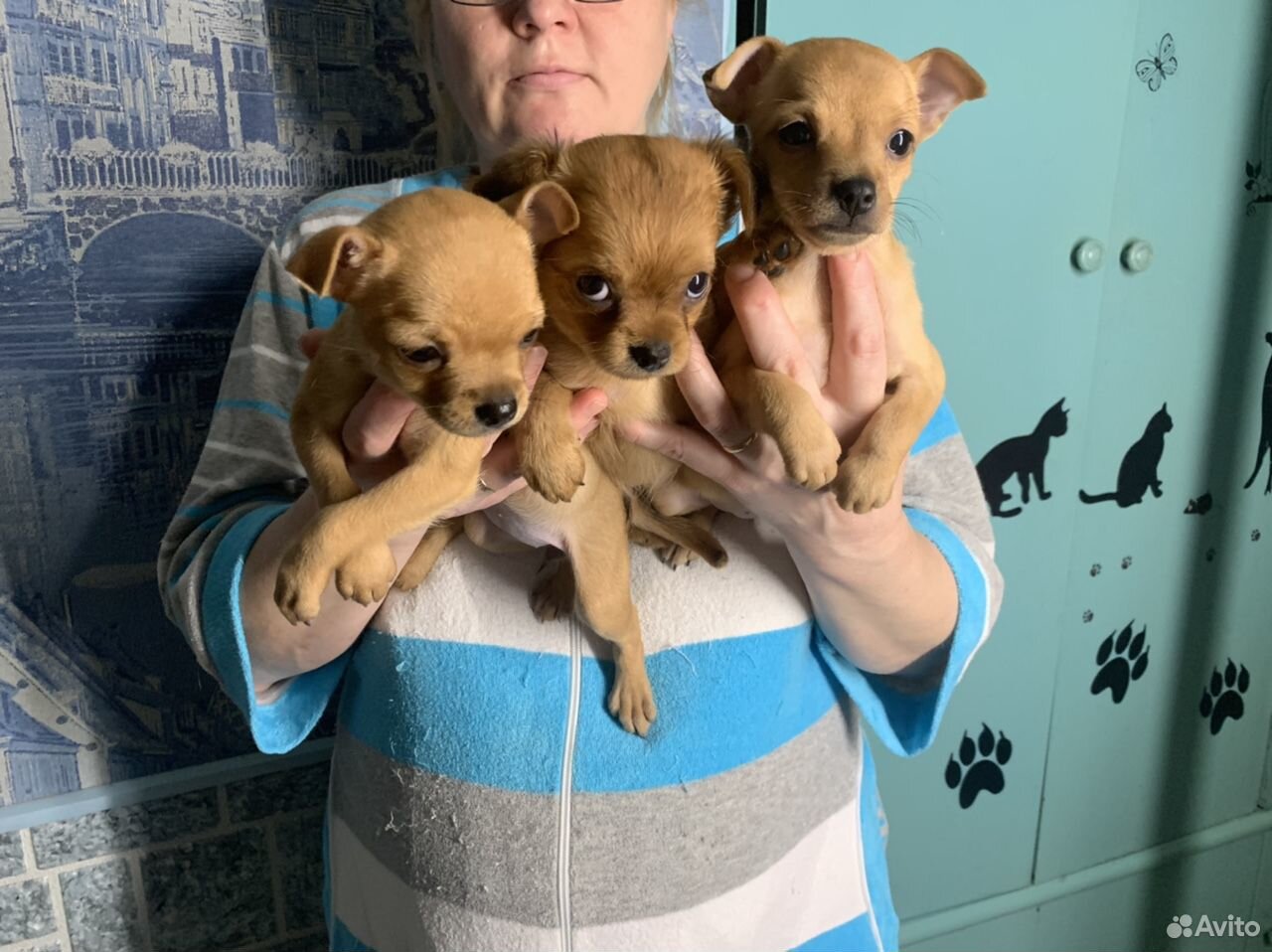 Чиши для души