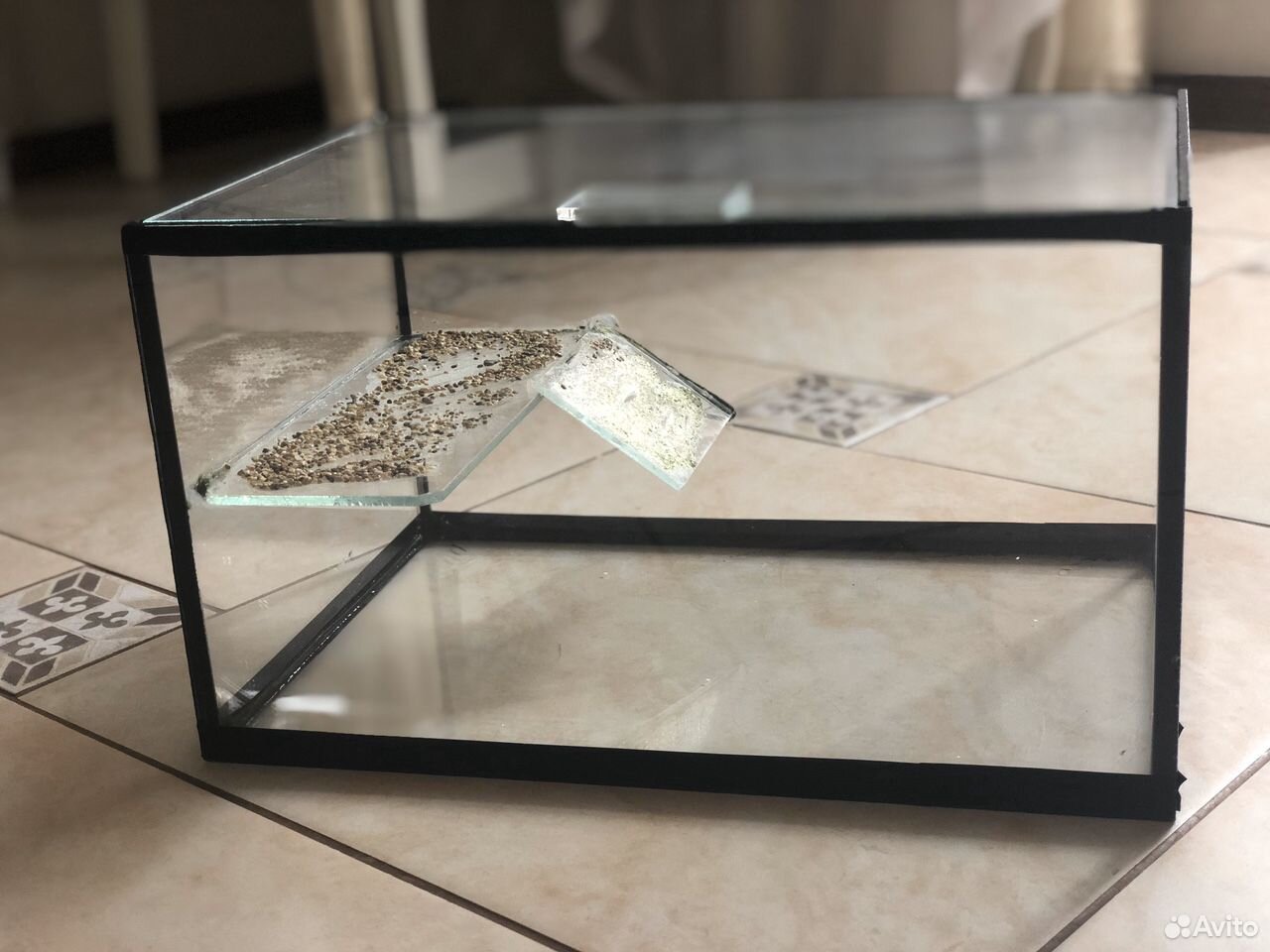 Террариум стеклянный на 20 литров