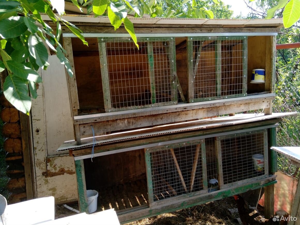 Кролятники