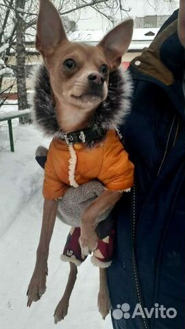 Жених ищет невесту. 1 год и 3 месяца. Не развязан