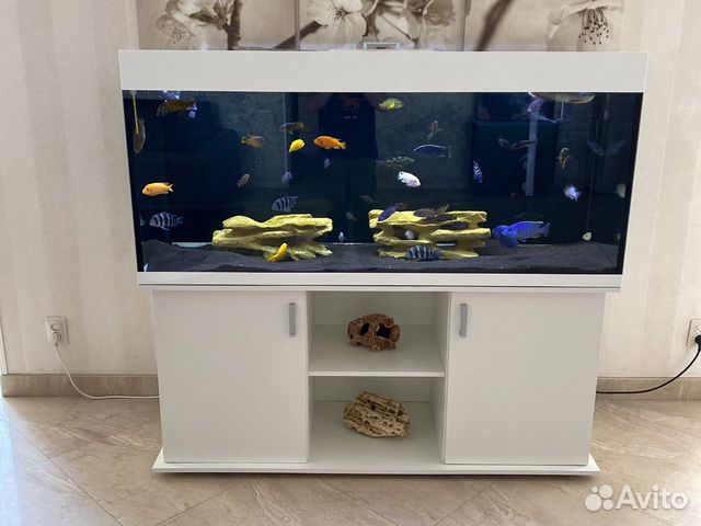 Аквариум