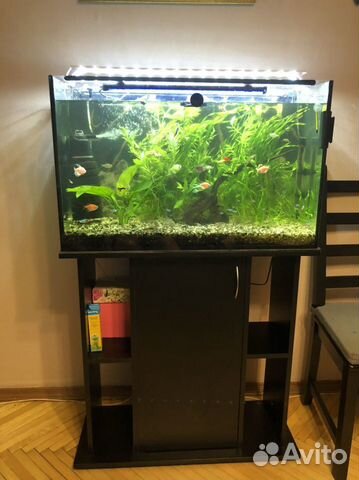Аквариум с тумбой 125 л