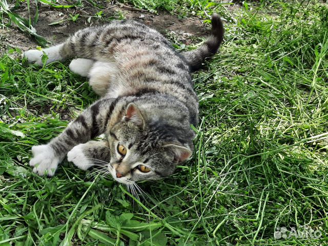 Вениамин, 10 мес, ждет семью