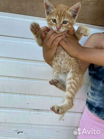 А Вы за мной