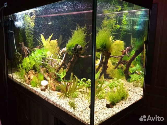 Аквариум 125 л с тумбой