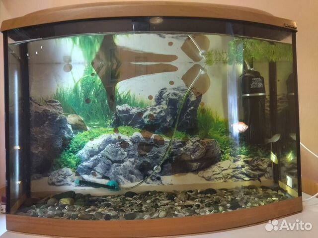 Аквариум AquaPlus 70л