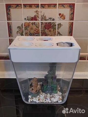 Акваферма (аквариум)