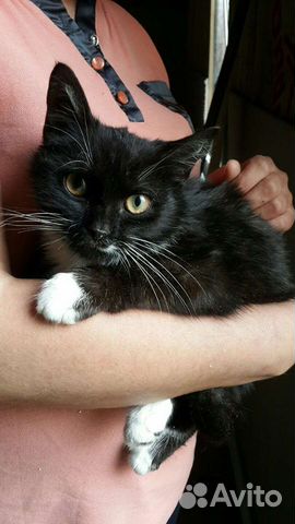 Шикарный мальчик