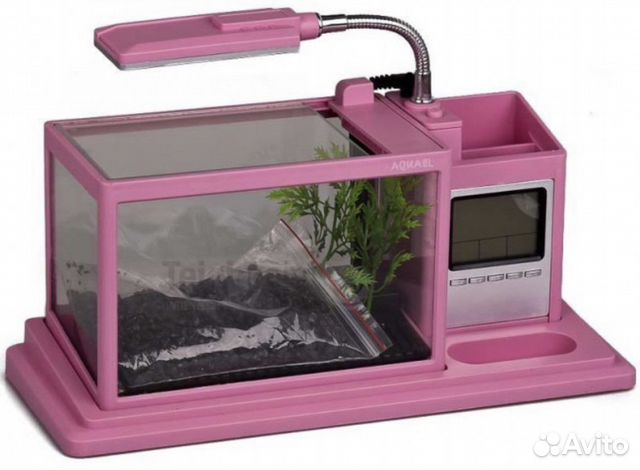 Мини аквариум настольный