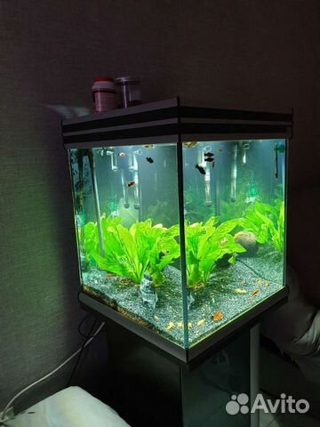 Аквариум aquatlantis