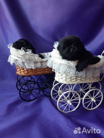 Чудесный подарок к новому году