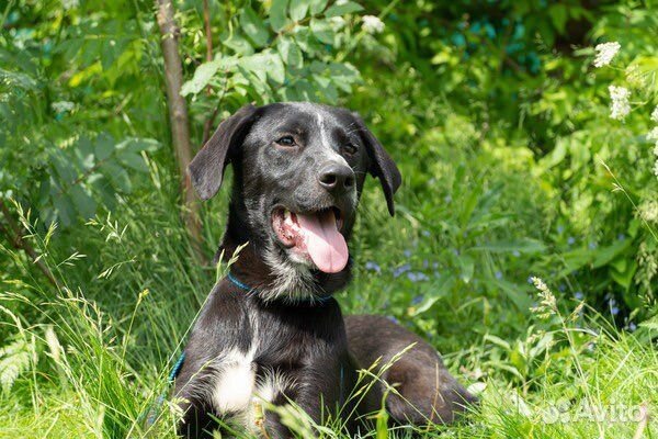 Миниатюрная Синема ищет дом