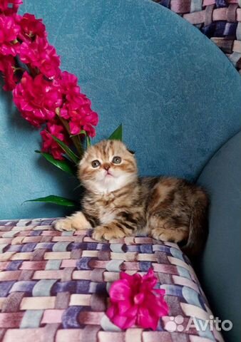 Девочка Клубная. Фото реальное