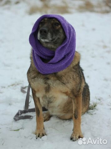 Прелестная Дуня ищет семью