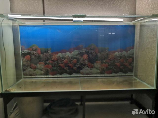 Аквариум