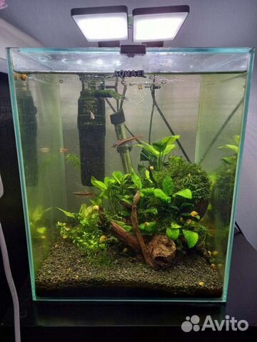 Аквариум