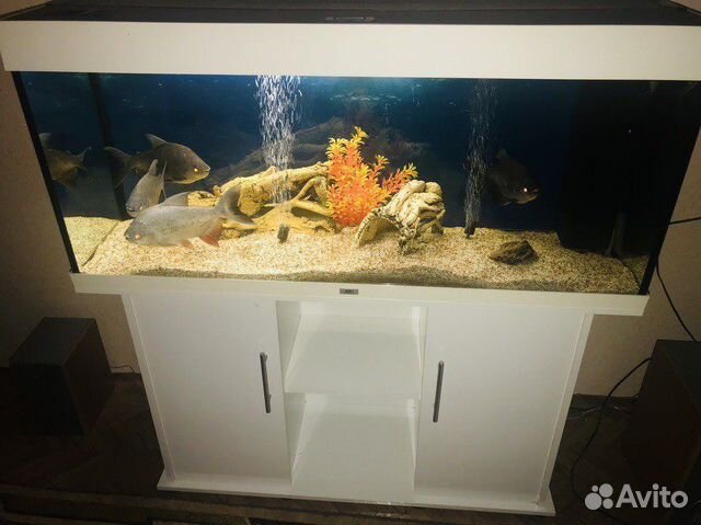 Аквариум juwel 240