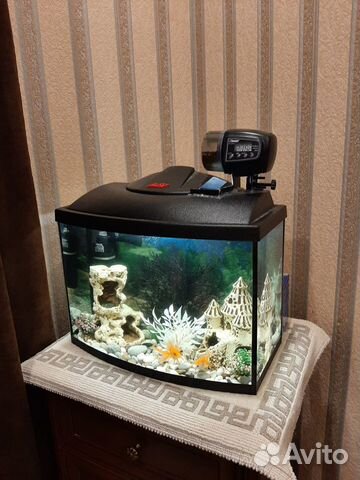 Аквариум с рыбками