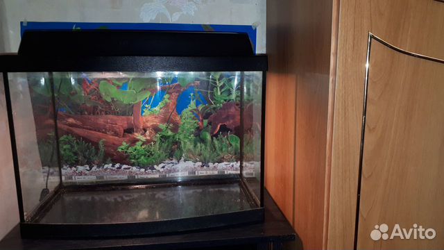 Аквариум с тумбой или без, 65 литров