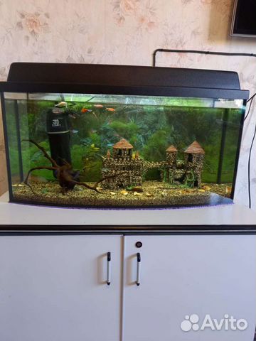 Аквариум на 100 литров