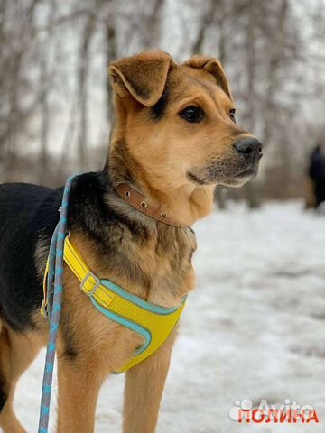 Брюс Всемогущий