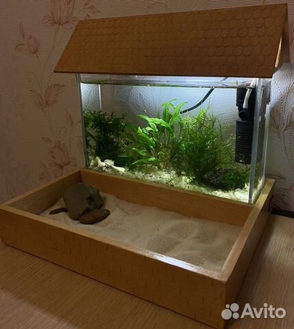 Террариум аквариум с садом камней