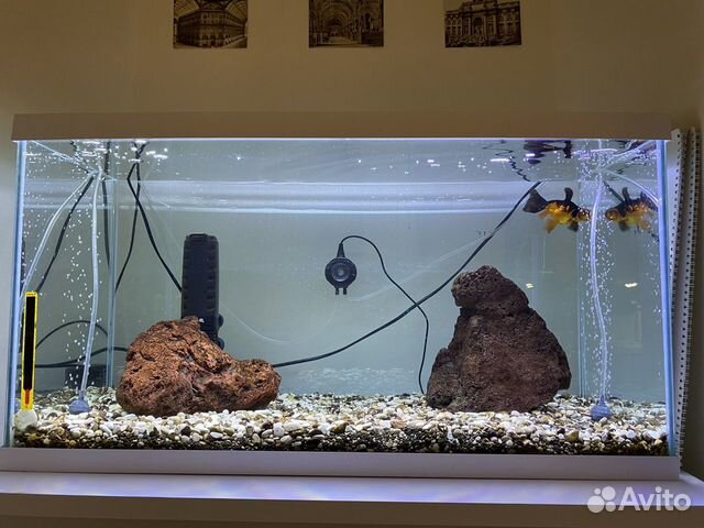 Аквариум на 100л