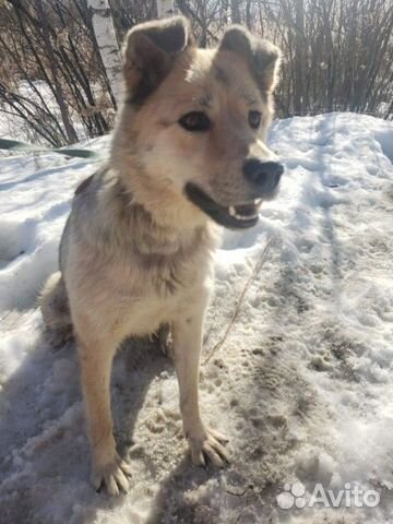 Жулька - красотулька