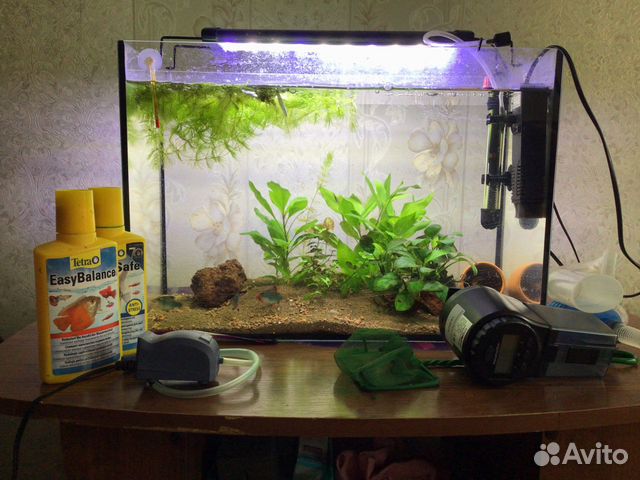 Продам аквариум и оборудование