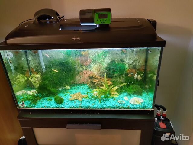 Аквариум 100л. Полный комплект