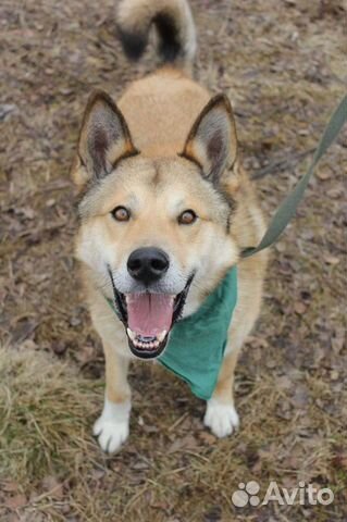Хотите много любви и ласки, приезжайте за мной