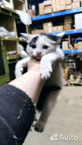 Cp0чнo малыш хочет домой
