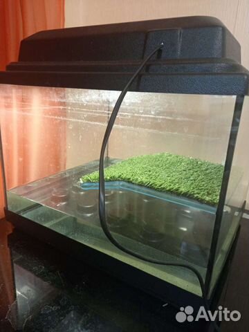 Аквариум террариум