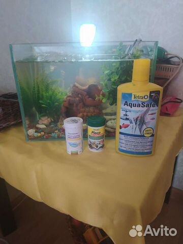 Аквариум с рыбками