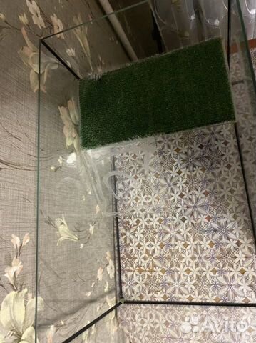 Аквариум для черепах