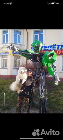 Самоедская лайка щенки