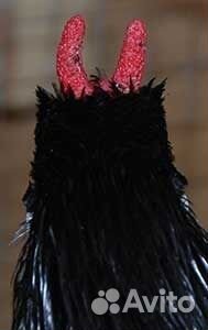 Декоративная яичная порода кур - Ла Флеш